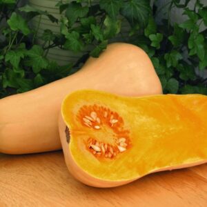 Squash Muscade De Provence – Premier Seeds Direct