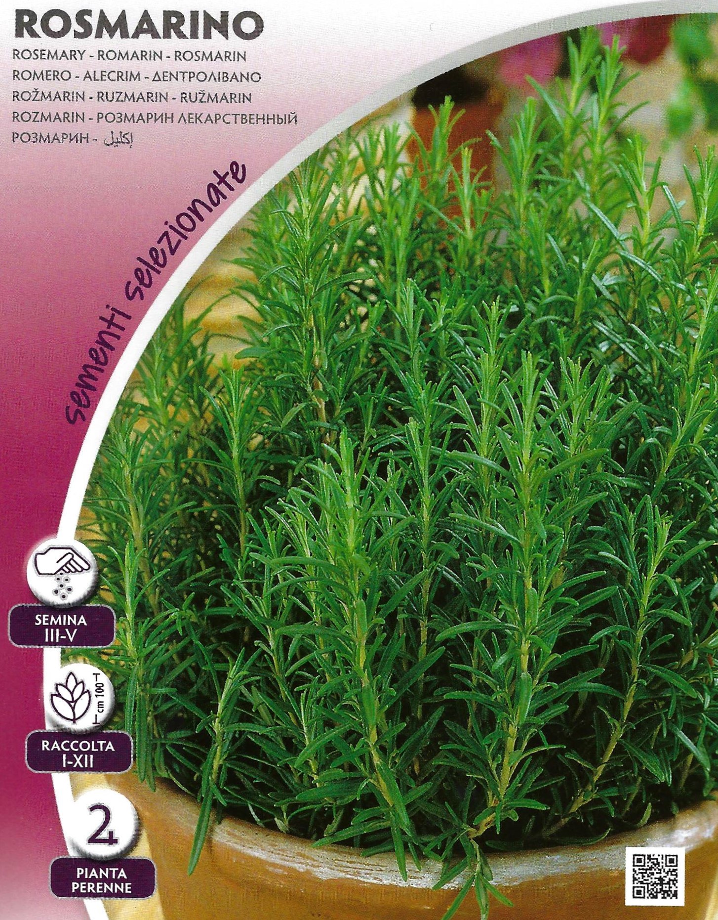 PICTORIAL PACKET Herb Rosemary | Pictorial Packet | Premier Seeds ...