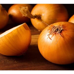 Italian Heirloom Long Red Florence Onion – Premier Seeds Direct