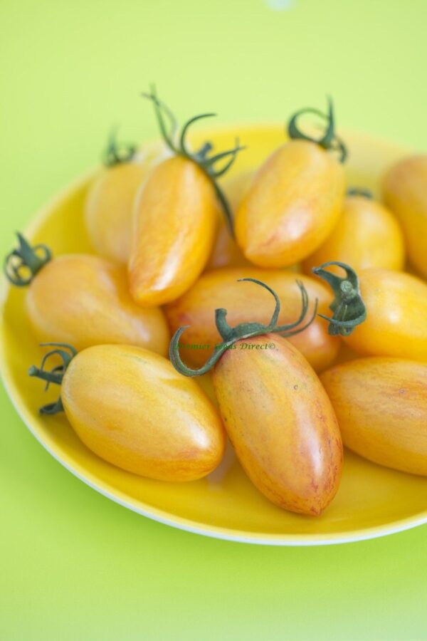 Tomato Cherry Artisan Blush Tiger | Tomato | Premier Seeds Direct ltd