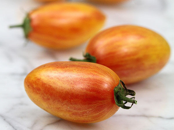 Tomato Cherry Artisan Blush Tiger | Tomato | Premier Seeds Direct ltd