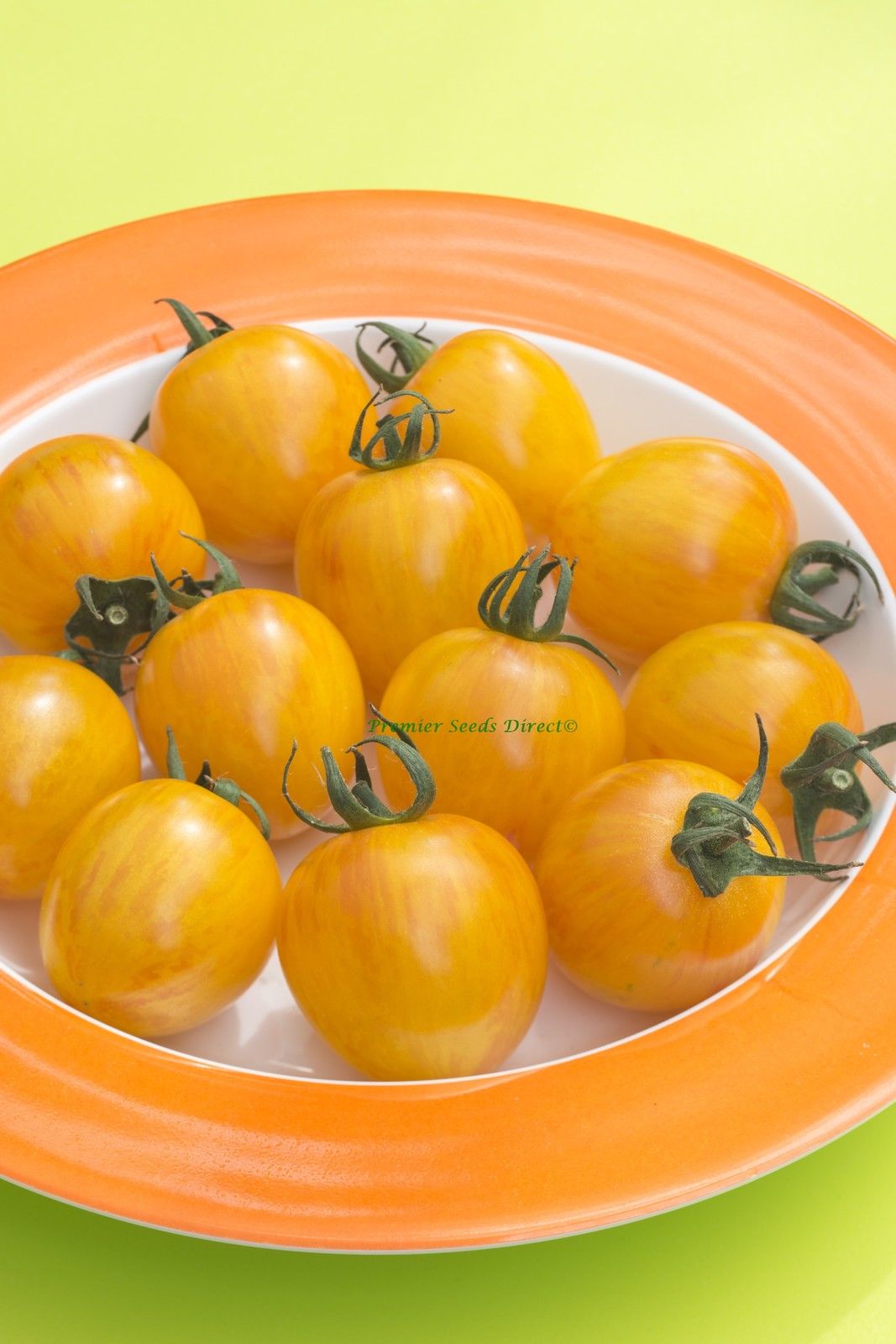 Tomato Cherry Artisan Golden Bumblebee | Tomato | Premier Seeds Direct ltd