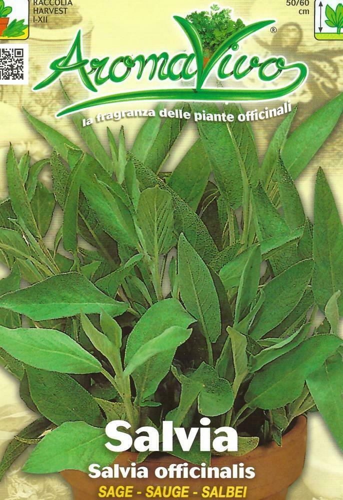 ITALIAN SAGE – PICTORIAL PACKET – Premier Seeds Direct