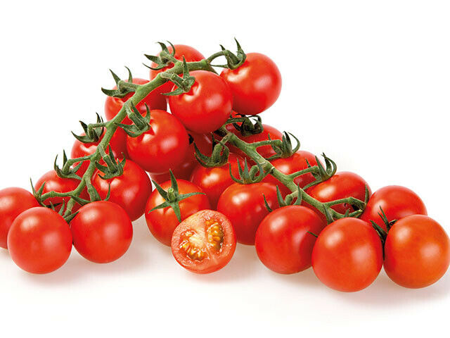 Tomato - Sakura - Premier Seeds Direct