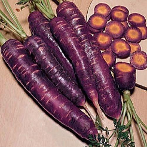 Carrot Purple Dragon F1 | Carrot | Premier Seeds Direct ltd